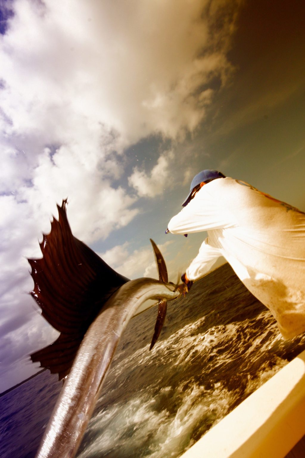 Fishing Charters - Dive Paradise