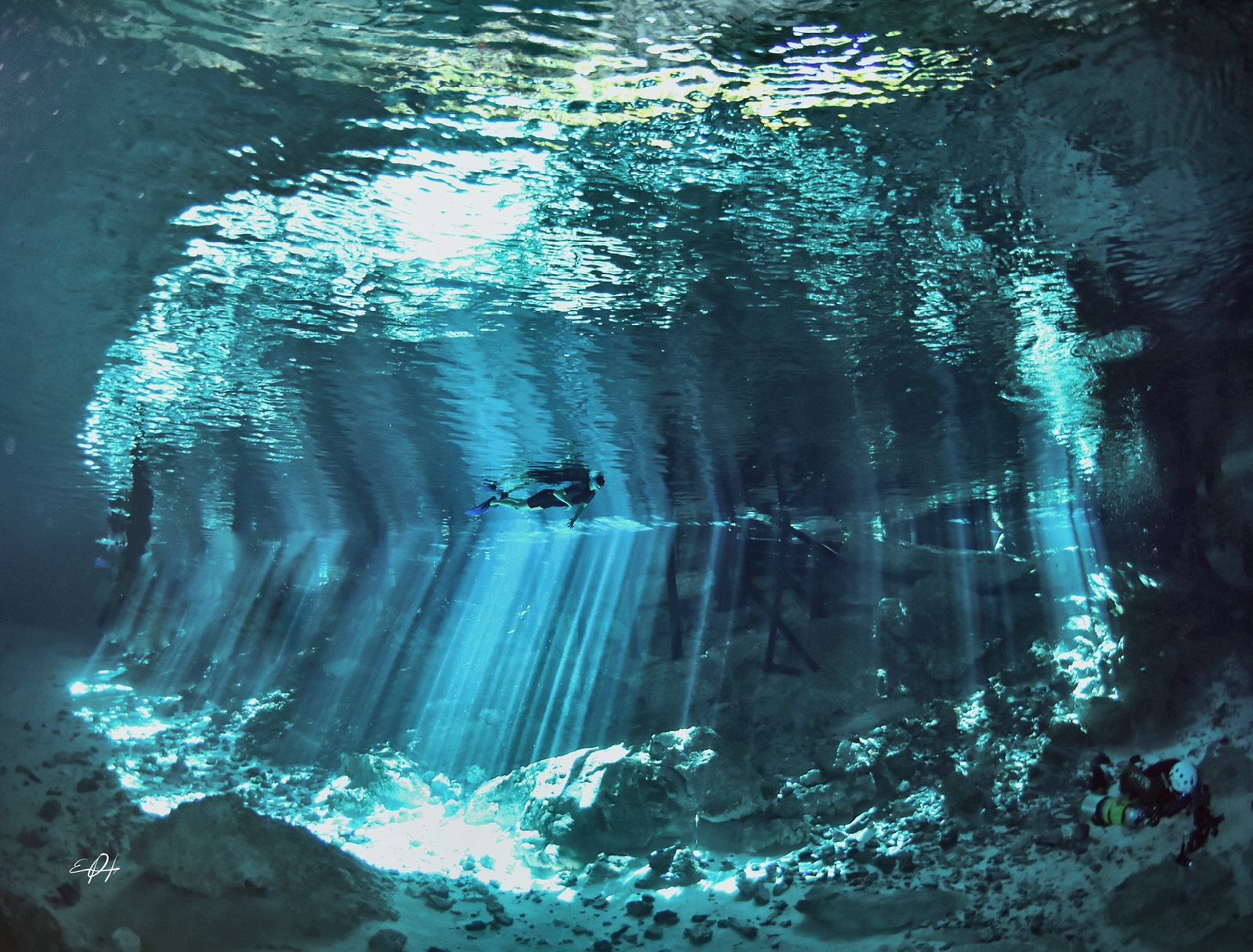 News and Updates - Dive Paradise